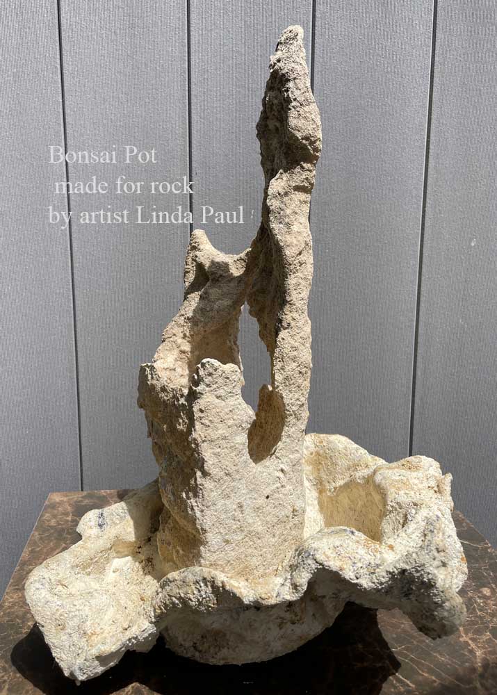 Rocky Mountain Bonsai Trees and Rocks - Mile High Bonsai