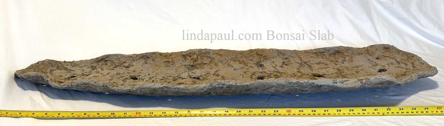 Extra large Bonsai Forest Slab for Sale by Colorado artist Linda Paul ...